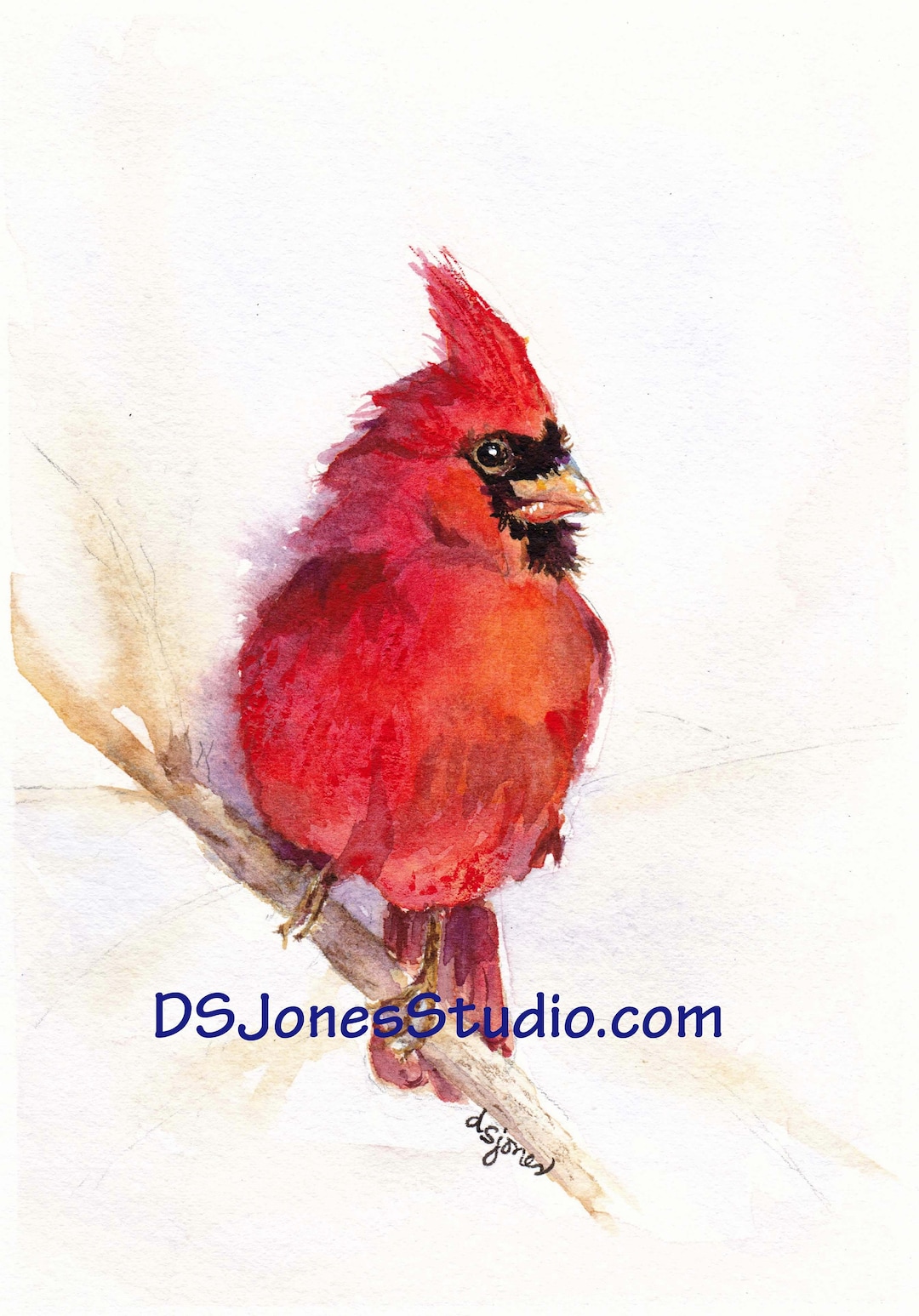 Watercolor of Red Cardinal Original and Prints Available - Etsy
