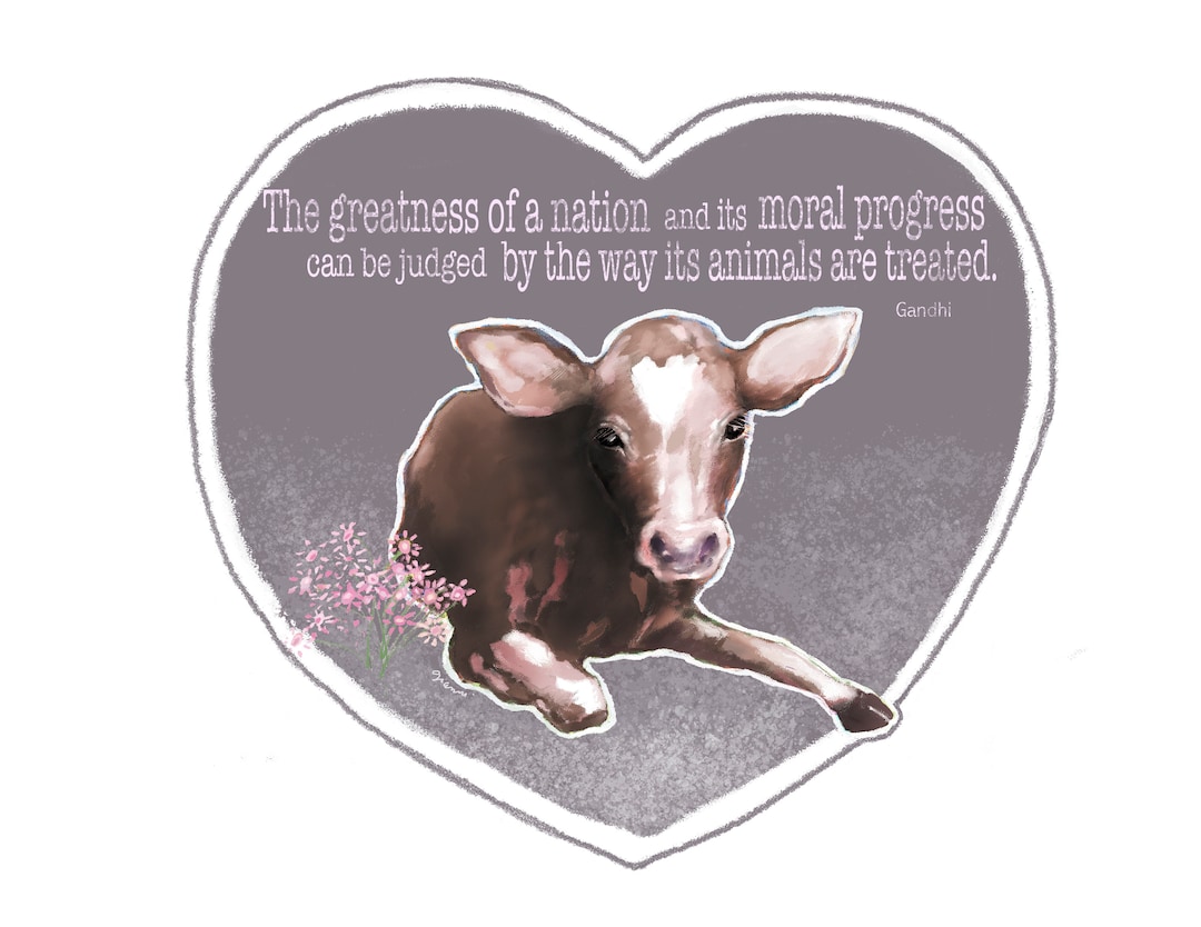 Animal Welfare, Kindness to Animals, Kindness, Vegan, Vegetarian, Love ...