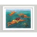 Chubby Swimmers With Turtle, Fat Ladies, Fat Ladies Swimming, Large ...