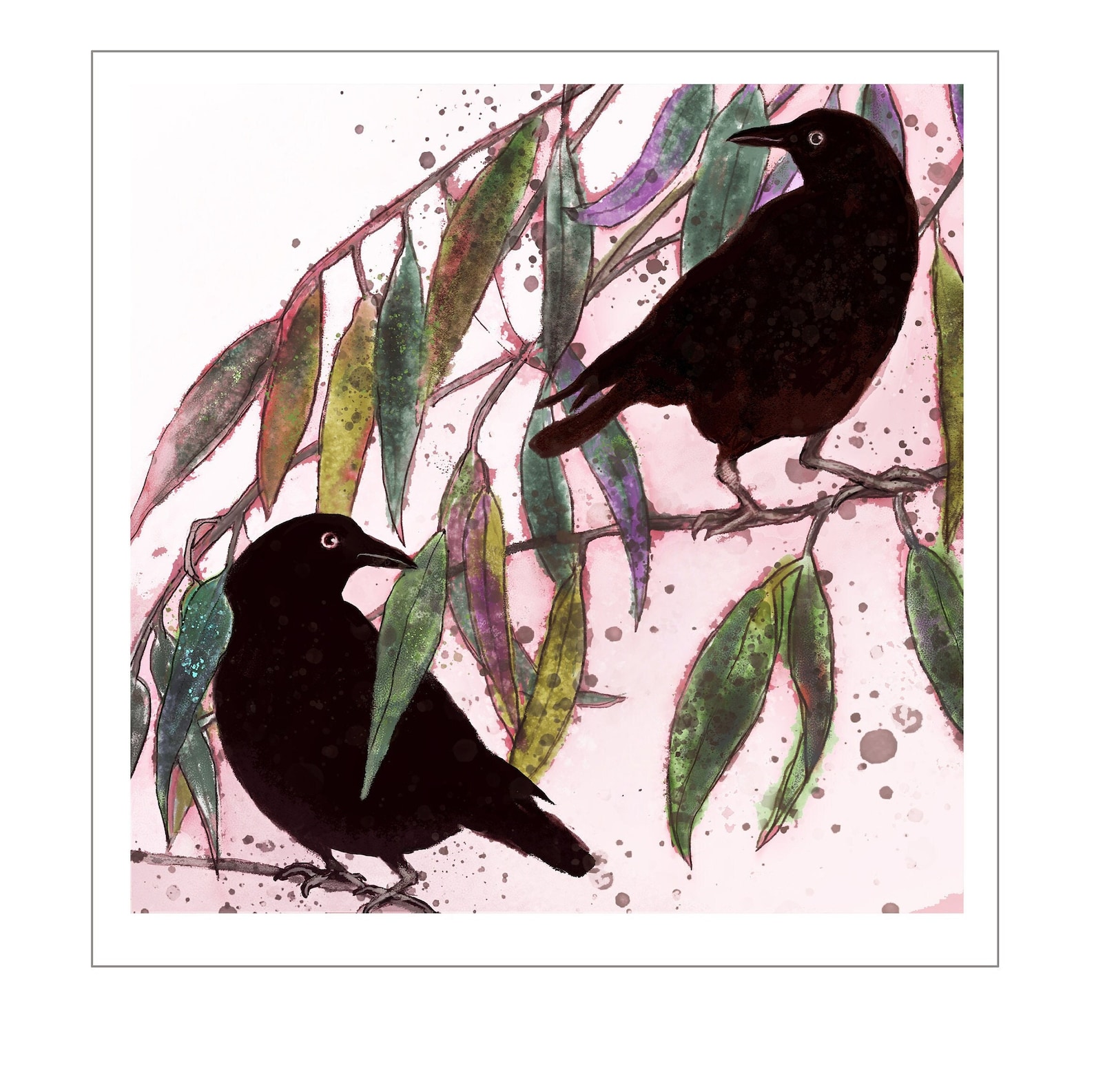 Crows in the Eucalyptus Tree, Crow, Corvis, Bird, Black Birds ...