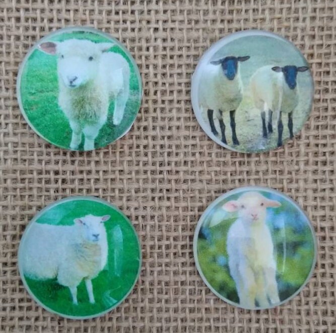 Sheep Magnets Farm Magnets Country Life Magnets Gift | Etsy