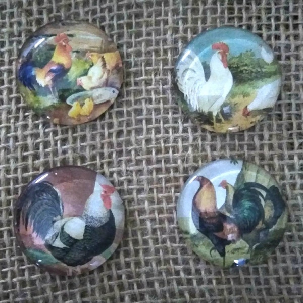 Chicken Magnets - Etsy