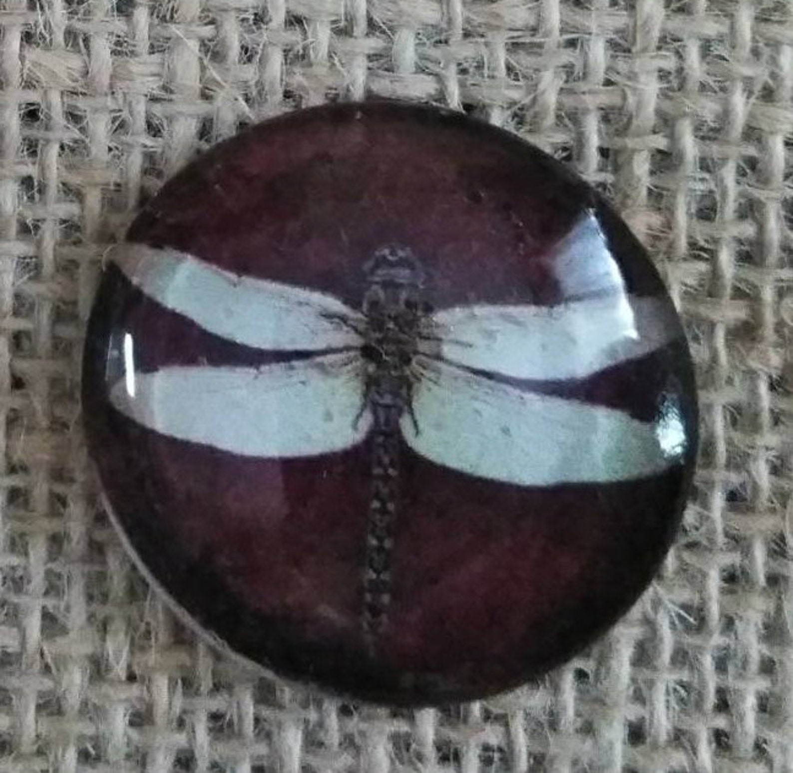 Dragonfly Dragonfly Magnets Dragonflies Locker Magnets - Etsy