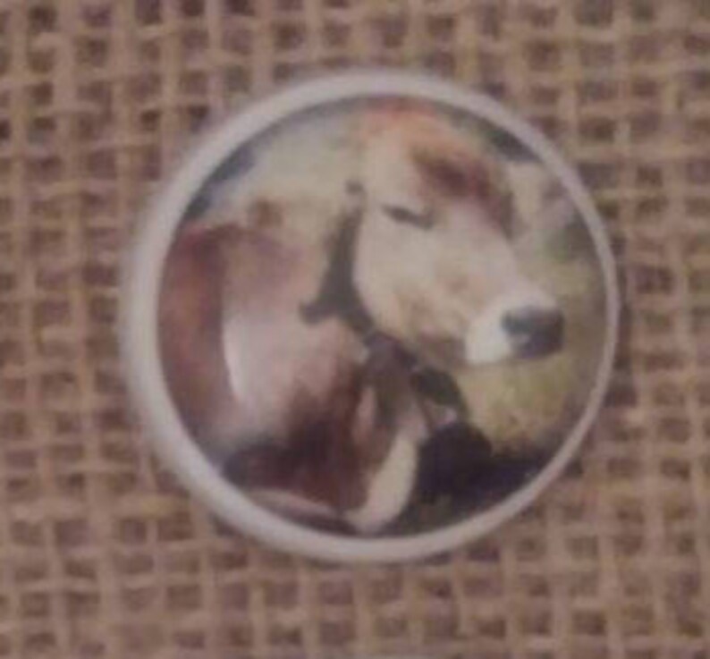 Cow Magnets Farm Animal Magnets Country Decor Gift Idea - Etsy