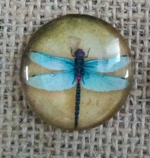 Dragonfly Dragonfly Magnets Dragonflies Locker Magnets - Etsy