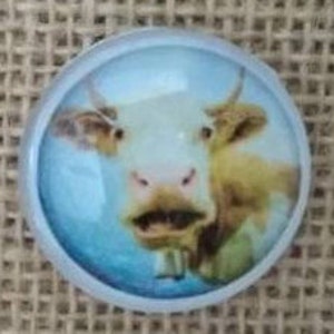 Crazy Cow Magnets Cow Magnet Set Farmhouse Magnets Cow Magnets Kitchen ...