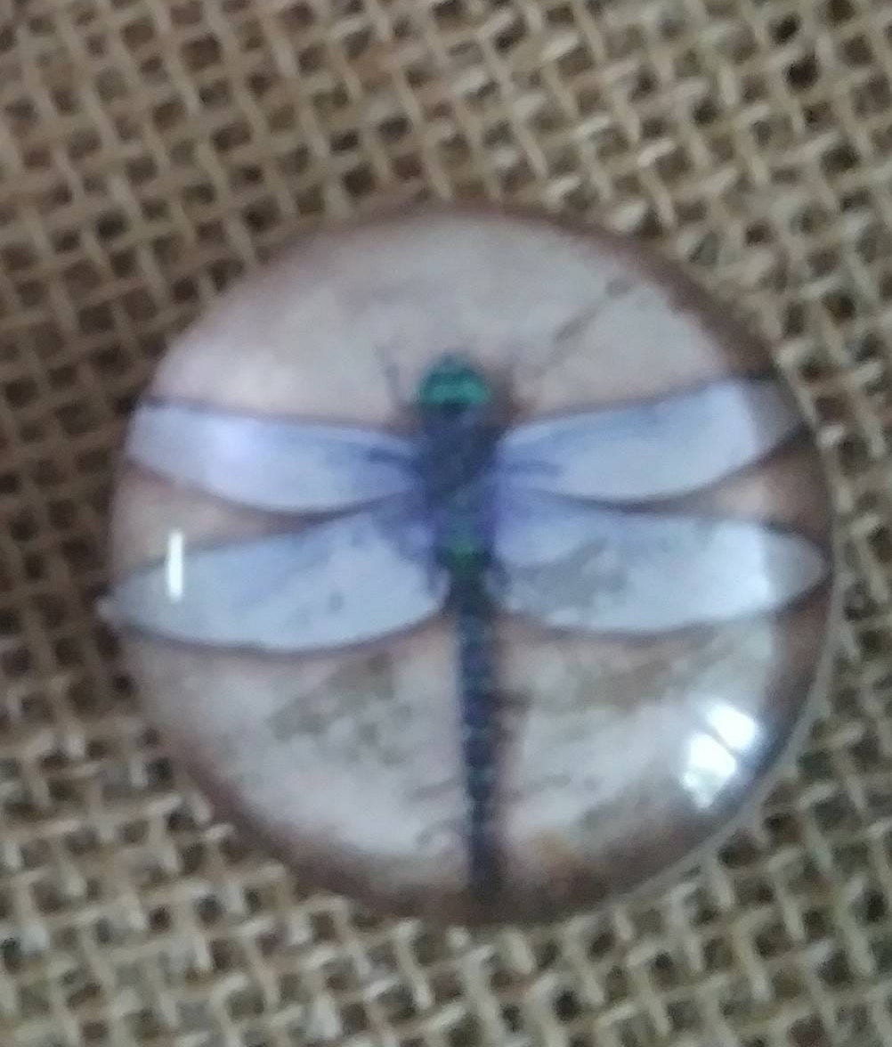 Dragonfly Magnets Dragonfly Decor Refrigerator Magnets | Etsy