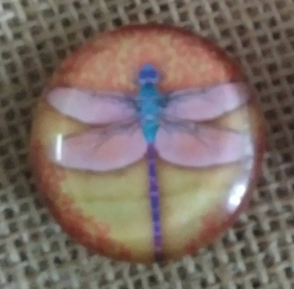 Dragonfly Magnets Dragonfly Decor Refrigerator Magnets | Etsy