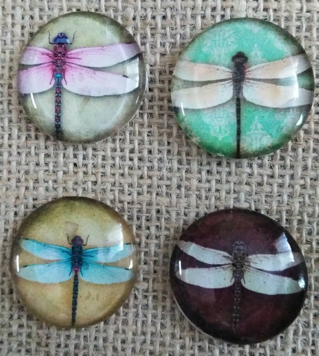 Dragonfly Dragonfly Magnets Dragonflies Locker Magnets - Etsy