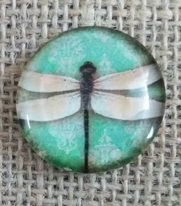 Dragonfly Dragonfly Magnets Dragonflies Locker Magnets - Etsy
