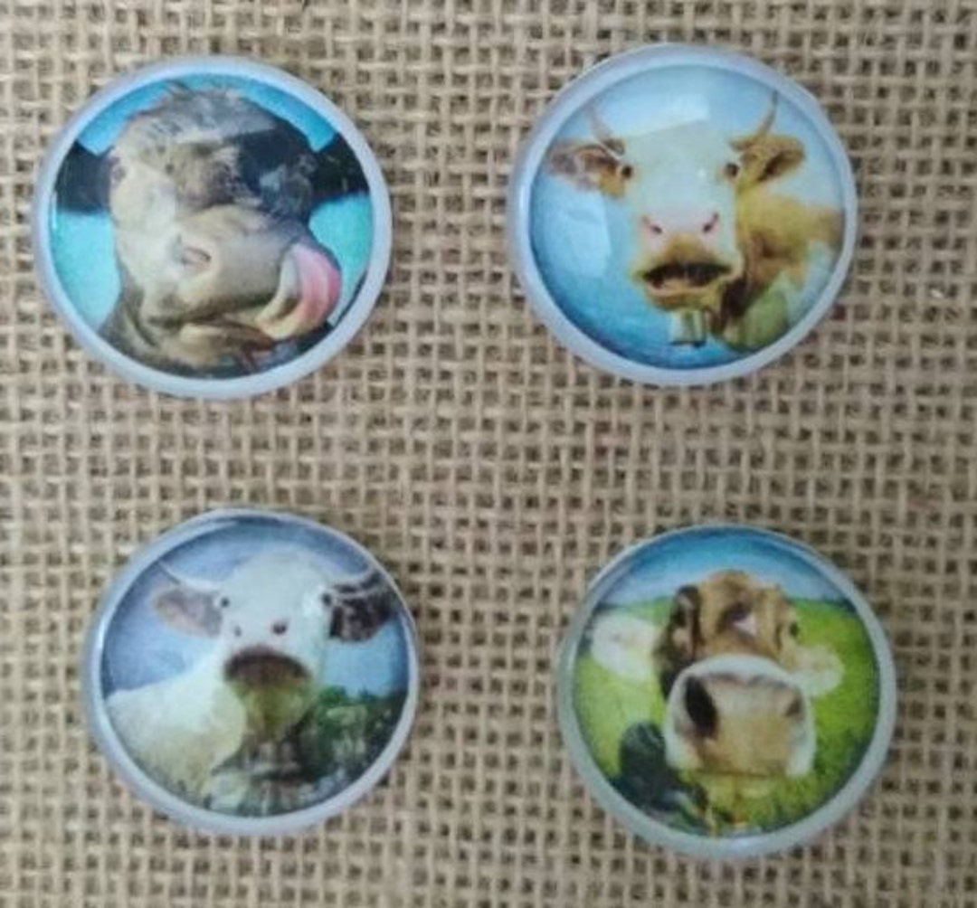Crazy Cow Magnets Cow Magnet Set Farmhouse Magnets Cow Magnets Kitchen ...