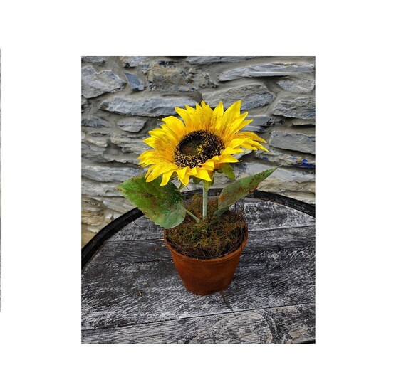 Primitive Sunflower Pots - Etsy