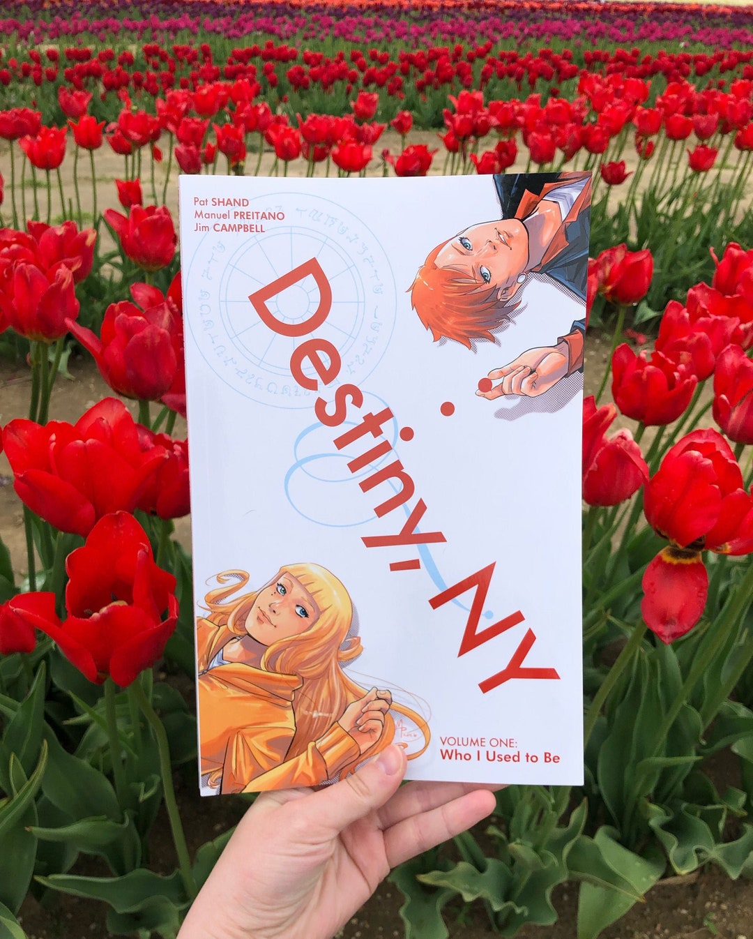 Destiny, NY Volume 1: Who I Used to Be - Etsy