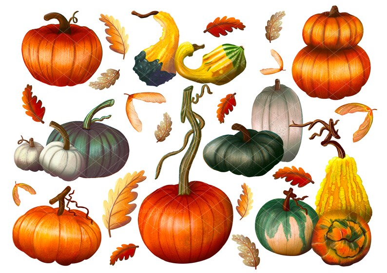 Pumpkin Clipart Fall Clipart Halloween Clipart Autumn - Etsy
