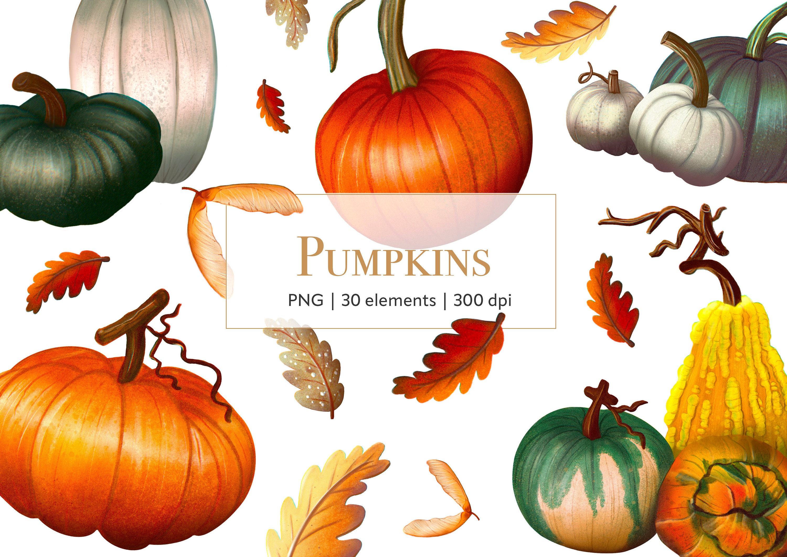 Pumpkin Clipart Fall Clipart Halloween Clipart Autumn - Etsy