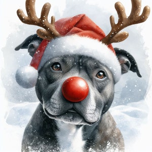 Pack of 5 Grey Staffy Christmas Cards - Etsy UK