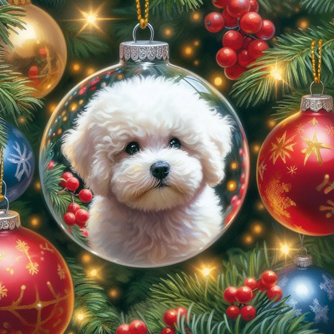 Bichon Frise Christmas Card - Etsy