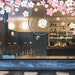 Spring Window Decals, Blossom Tree Flowers Shop Retail Window Display ...