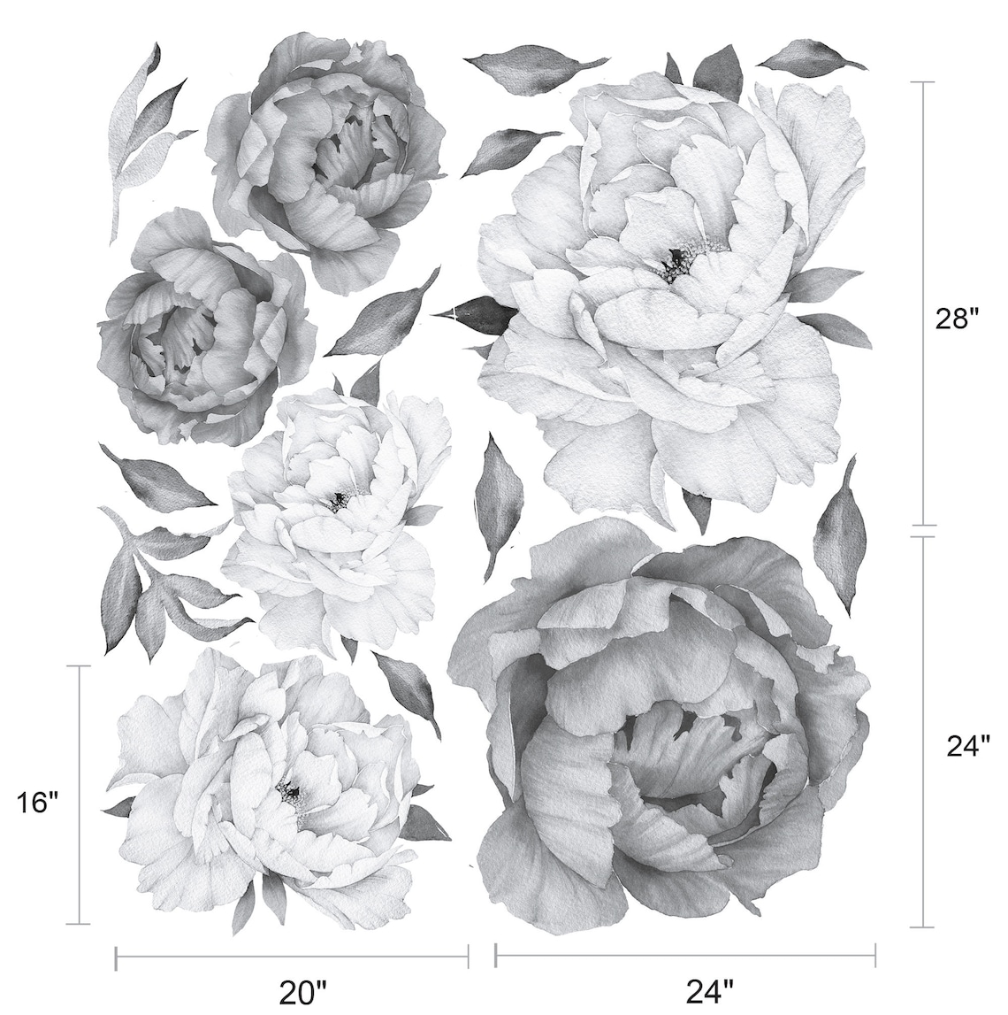 Large Peony Wall Decal Black and White Large Peonies Wall - Etsy