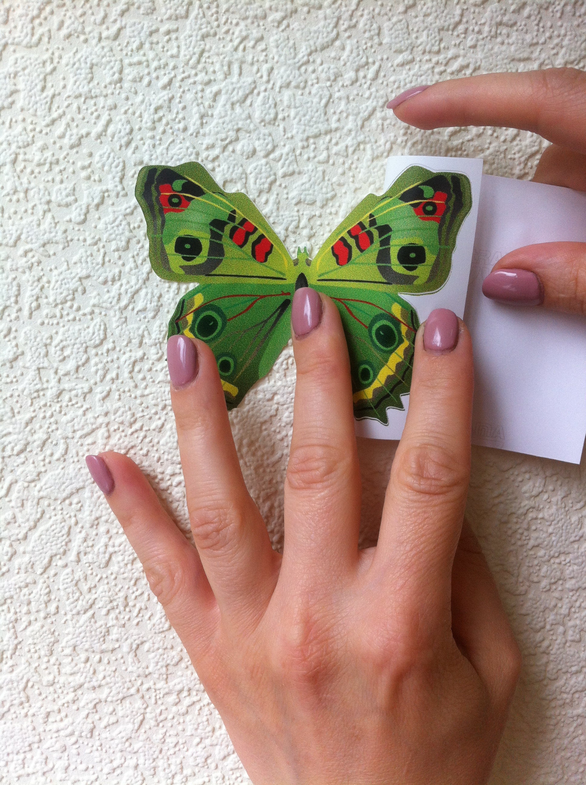 Butterfly Decal Butterflies Colorful Butterflies | Etsy