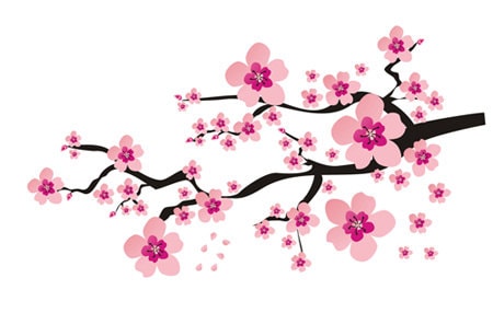 Cherry Blossom Cherry Blossom Decal Cherry Blossom Tree | Etsy