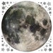 Full Moon Wall Decal Moon Vinyl Decal Moon Decals for Walls - Etsy