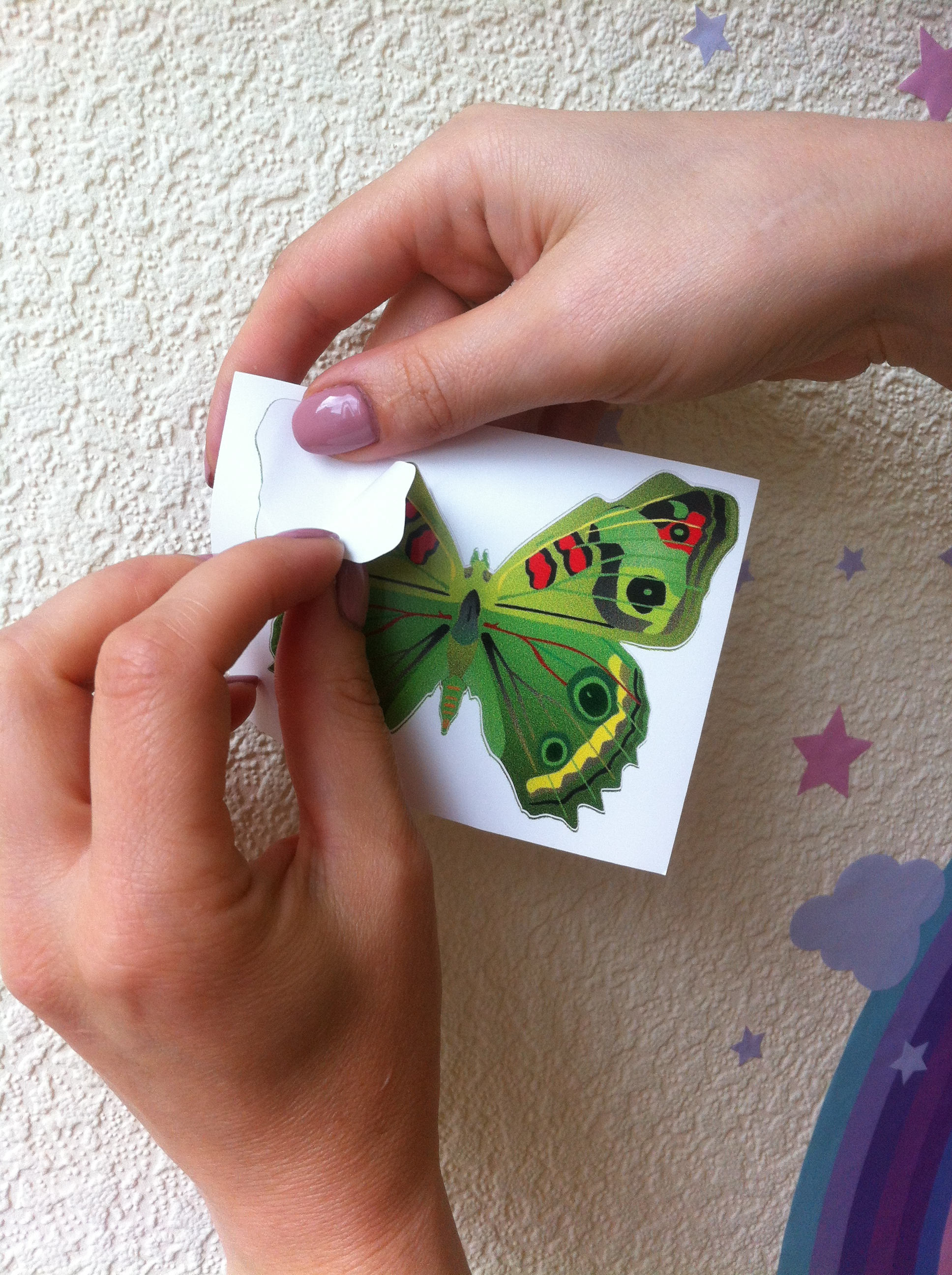 Butterfly Decal Butterflies Colorful Butterflies - Etsy