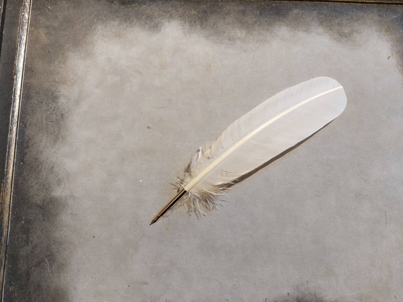White Feather Dip Pen for Calligraphy. For witchcraft or Spell | Etsy