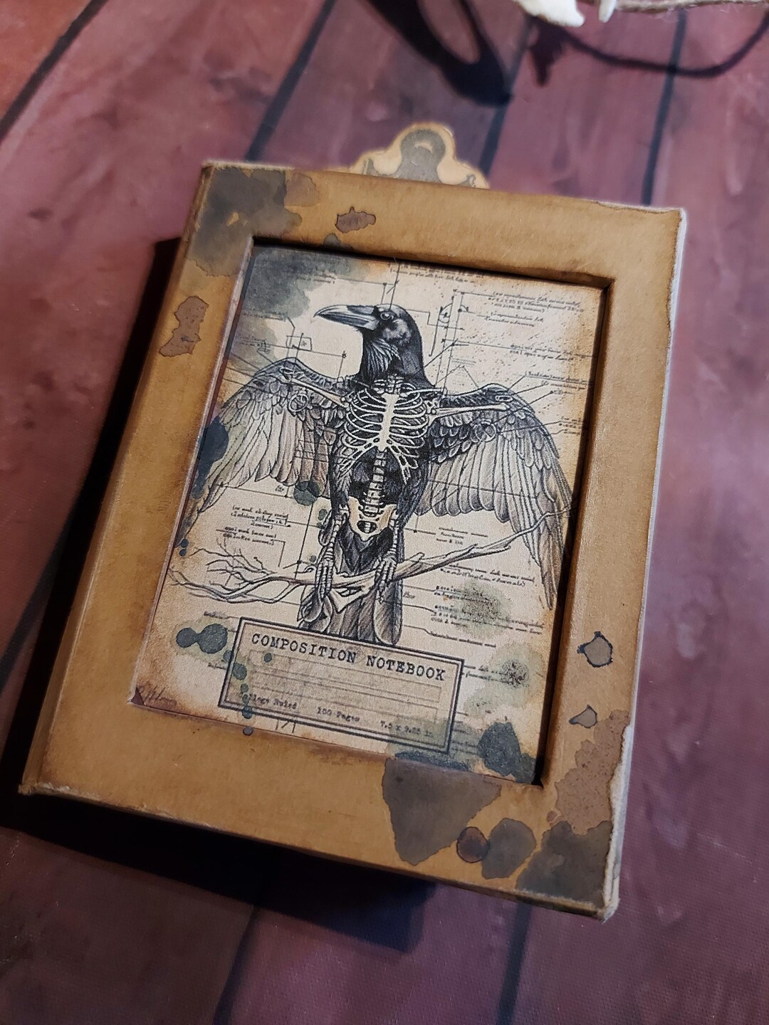 Crow Autopsy| Biology Experiment| Handmade Nature Book or Journal ...