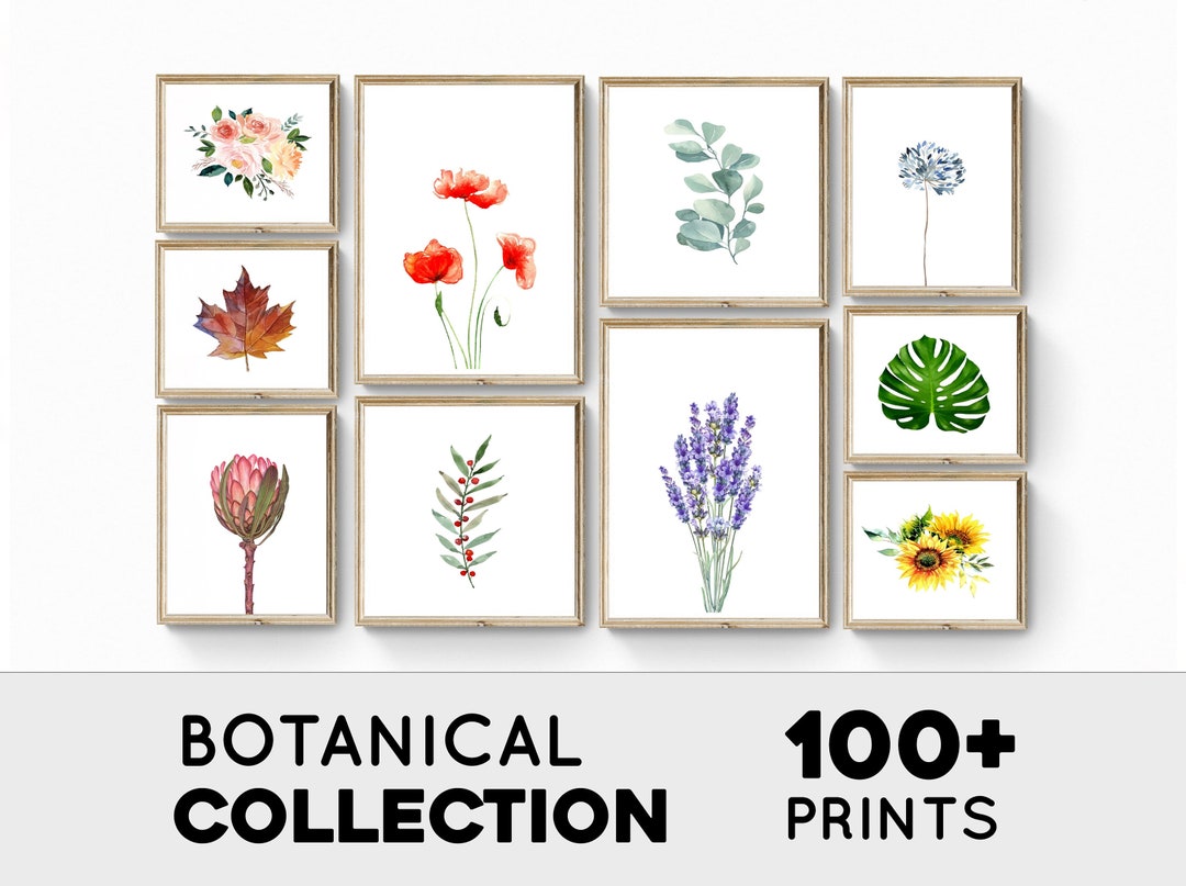 Set of 100 Watercolor Botanical Wall Art, Floral Print Set, Floral Wall ...