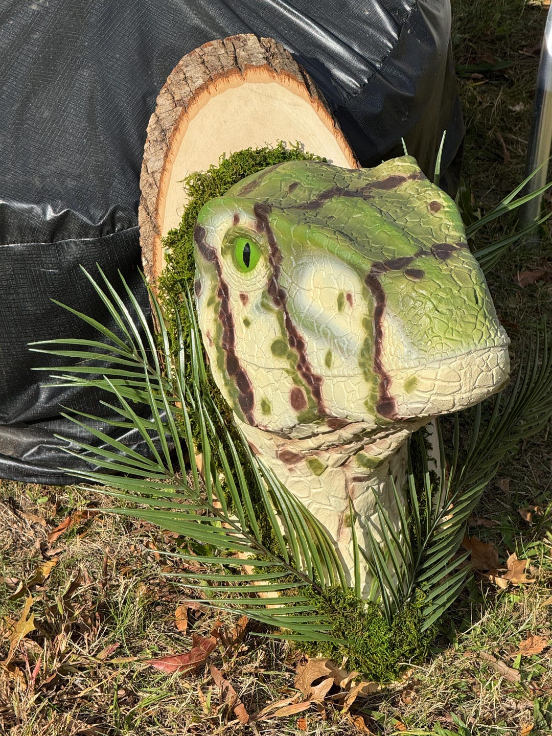 Large Raptor Head Wall Mount – Hand Sculpted & Painted Dino Bust on ...