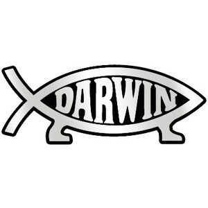 Darwin Fish Plastic Auto Emblem silver5.25 X | Etsy