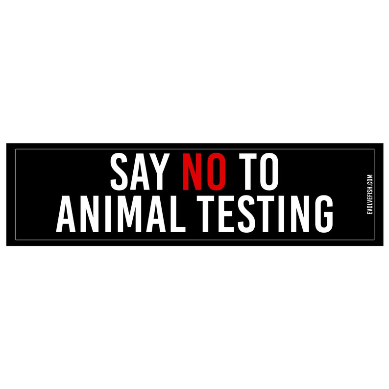Say No to Animal Testing Bumper Sticker 11 X 3 | Etsy