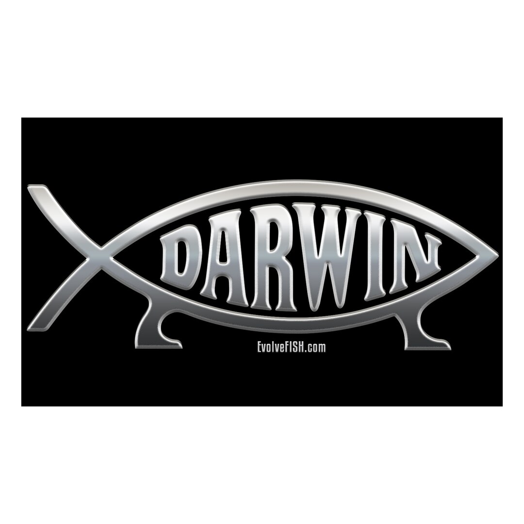 Darwin Fish Bumper Sticker 5 X 3 - Etsy