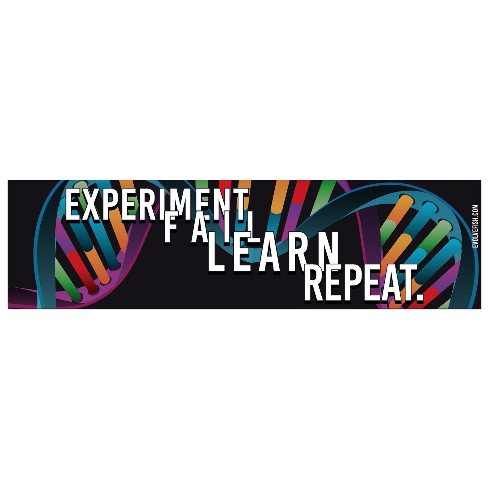 Experiment Fail Learn Repeat Bumper Sticker 11 X - Etsy
