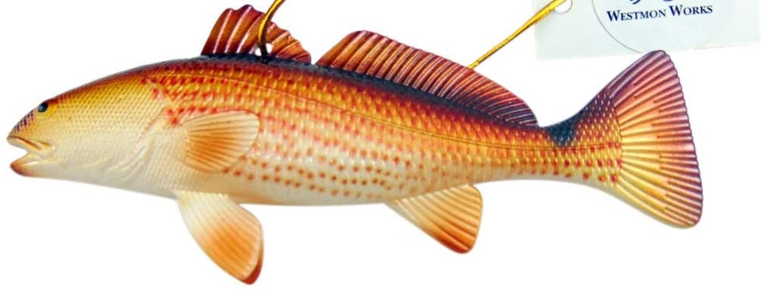 Redfish Ornament Realistic Christmas Tree Decoration Polyresin, 5 ...