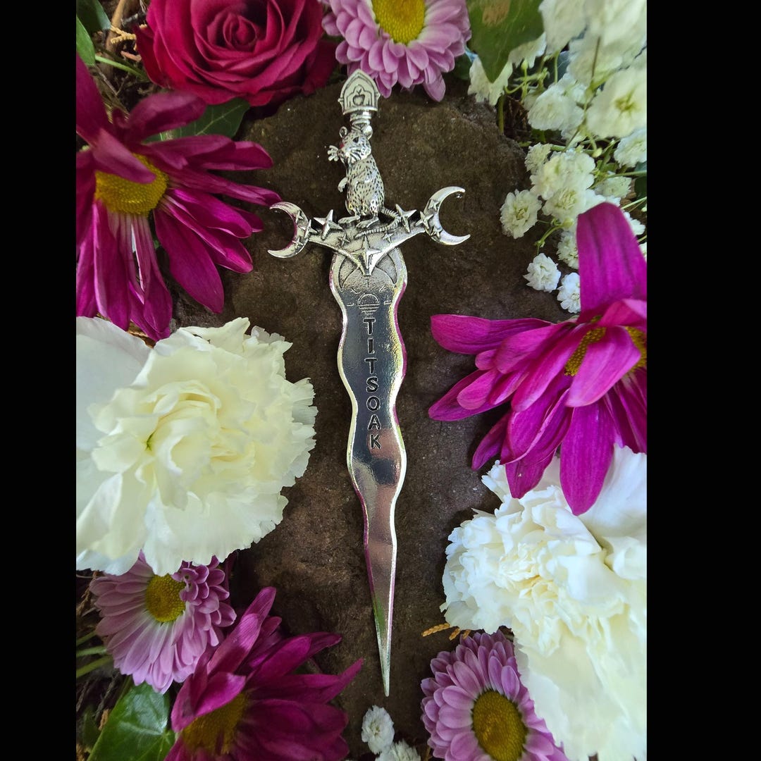 TITSOAK Hair Dagger, Sword Hair Stick, Hair Dagger, Witch Hair Stick ...