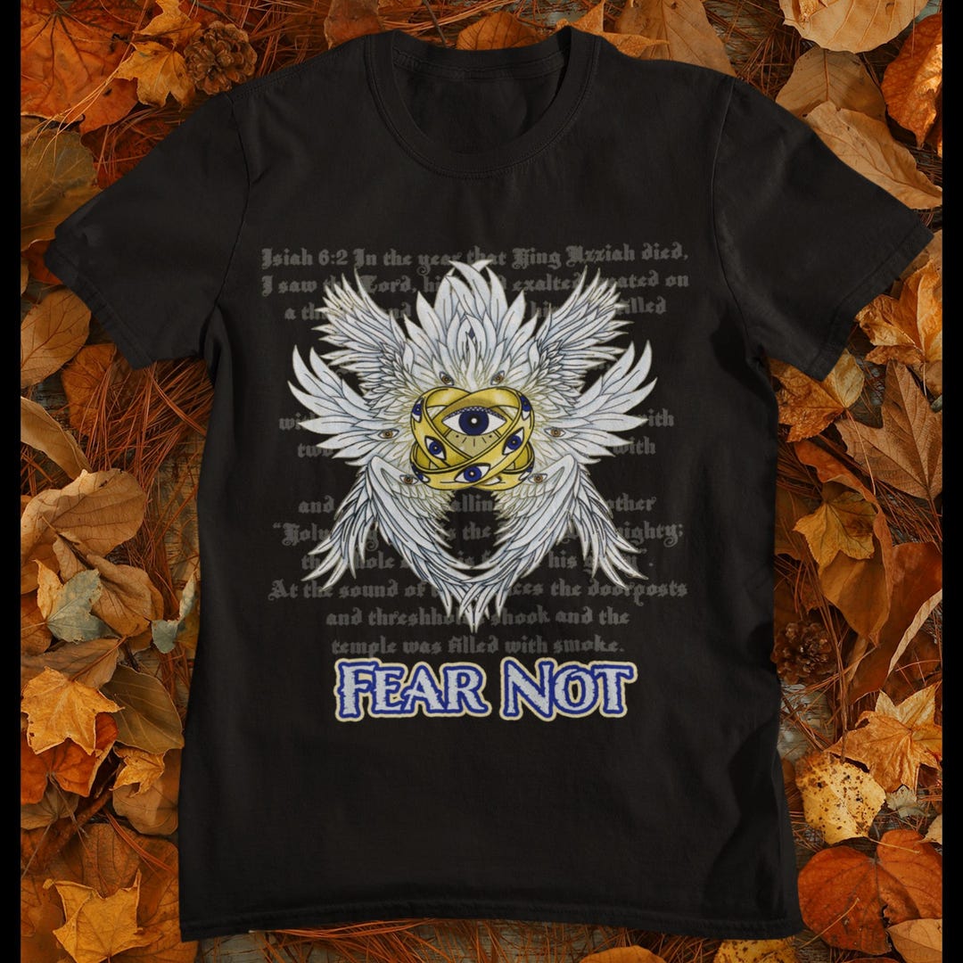 Biblically Accurate Angel Tshirt, Seraph Tshirt, Metaphysical Clothing ...