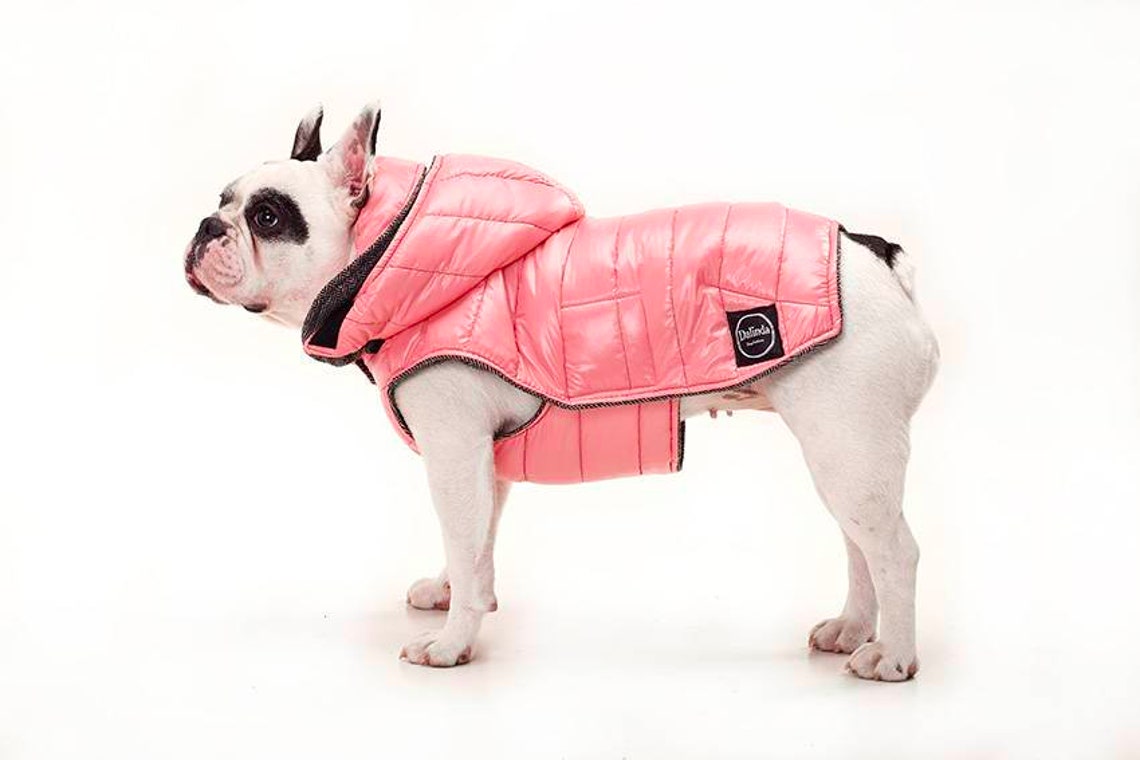 Dog Puffer Jacket Dog Winter Coat Warm Dog Coat Winter Dog - Etsy