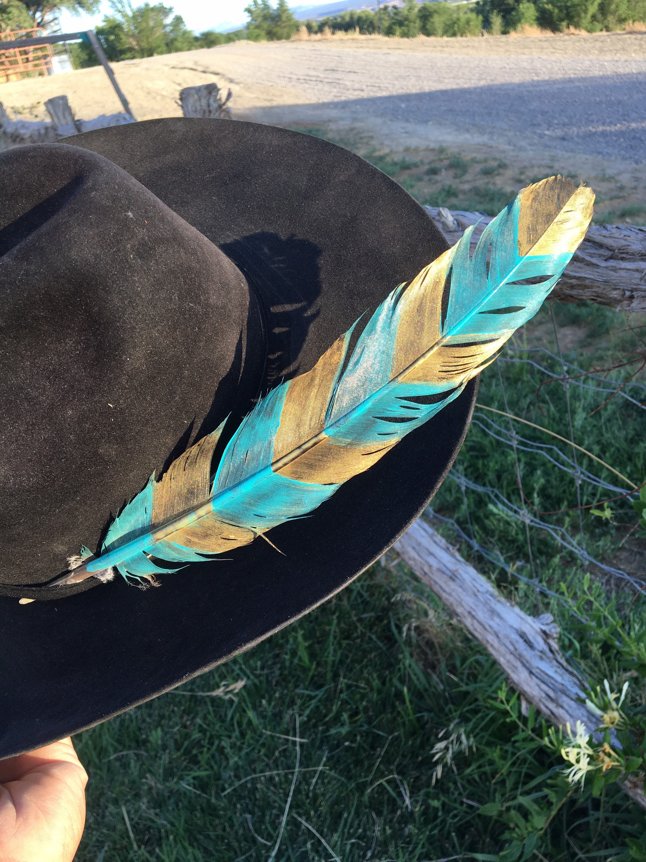 Color Block Feather - Etsy Australia