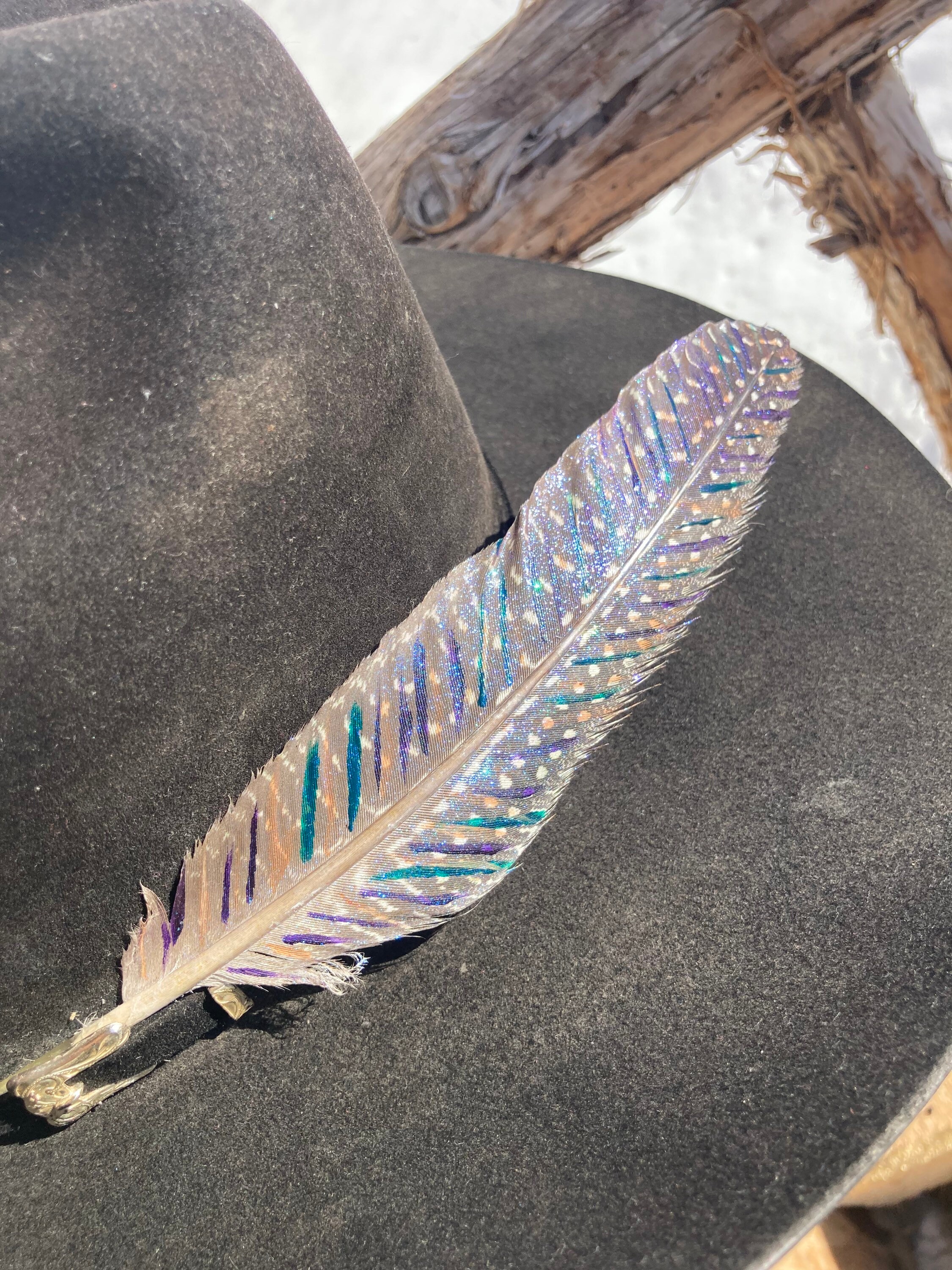 Striped Feather - Etsy