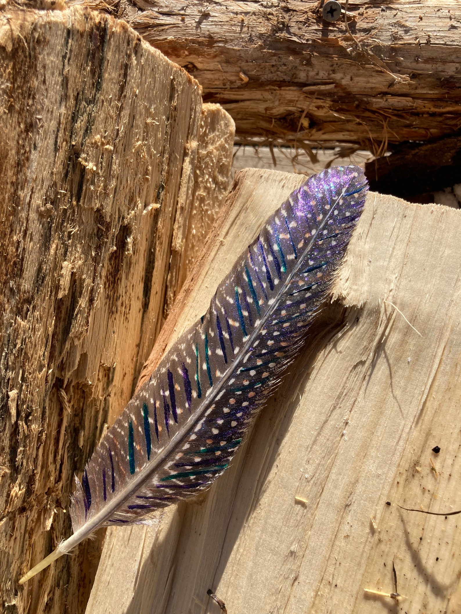 Striped Feather - Etsy