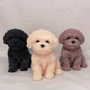 Large Dog Candle, Puppy Candle, Dog Birthday Gift, Bichon Frisé, Lhasa Apso, Shih Tzu, Cavapoo ...