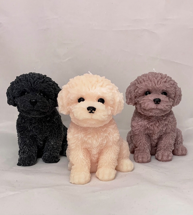 Large Dog Candle, Puppy Candle, Dog Birthday Gift, Bichon Frisé, Lhasa Apso, Shih Tzu, Cavapoo ...