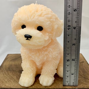 Large Dog Candle, Puppy Candle, Dog Birthday Gift, Bichon Frisé, Lhasa Apso, Shih Tzu, Cavapoo ...