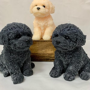 Large Dog Candle, Puppy Candle, Dog Birthday Gift, Bichon Frisé, Lhasa Apso, Shih Tzu, Cavapoo ...