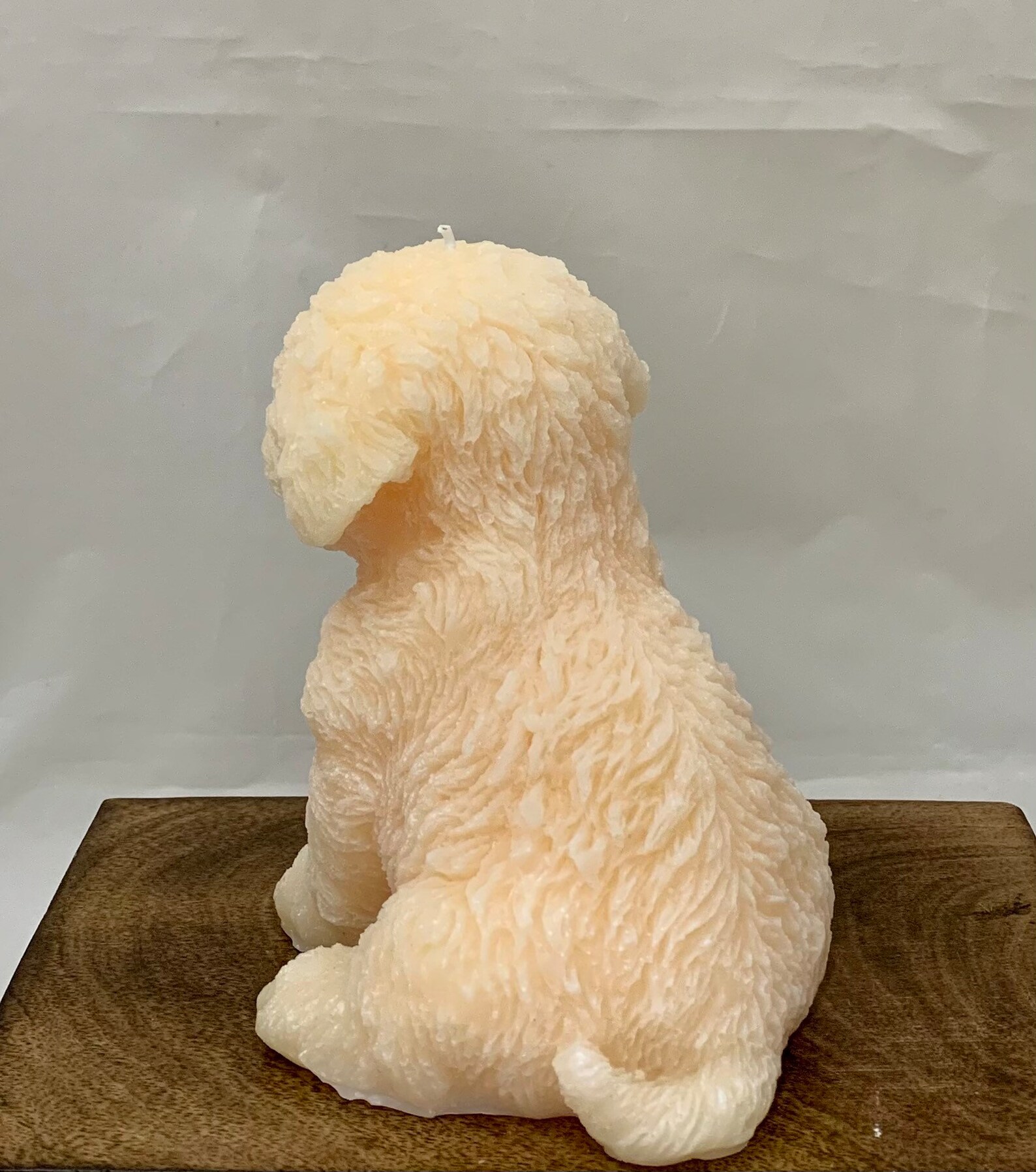 Large Dog Candle, Puppy Candle, Dog Birthday Gift, Bichon Frisé, Lhasa ...