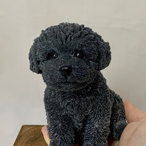 Large Dog Candle, Puppy Candle, Dog Birthday Gift, Bichon Frisé, Lhasa Apso, Shih Tzu, Cavapoo ...