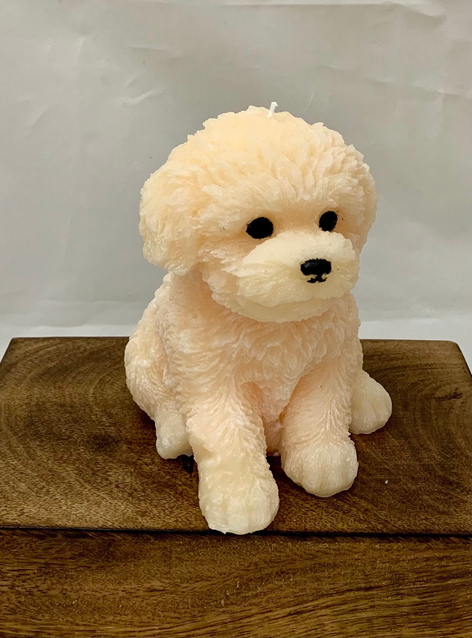 Large Dog Candle, Puppy Candle, Dog Birthday Gift, Bichon Frisé, Lhasa Apso, Shih Tzu, Cavapoo ...