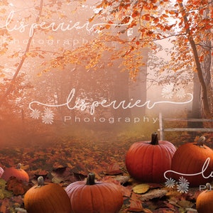 Fall Composite Digital Background - Etsy